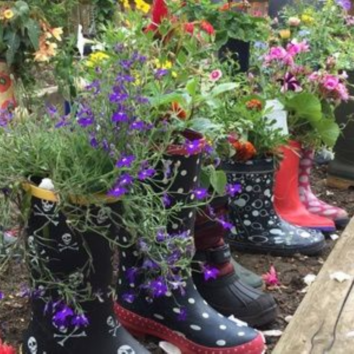 South Farnham School - Farnham In Bloom 2016